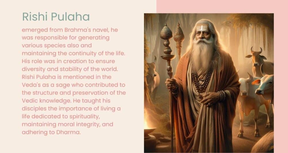 Seven Indian Sages - Wisdom of Ancient Rishis