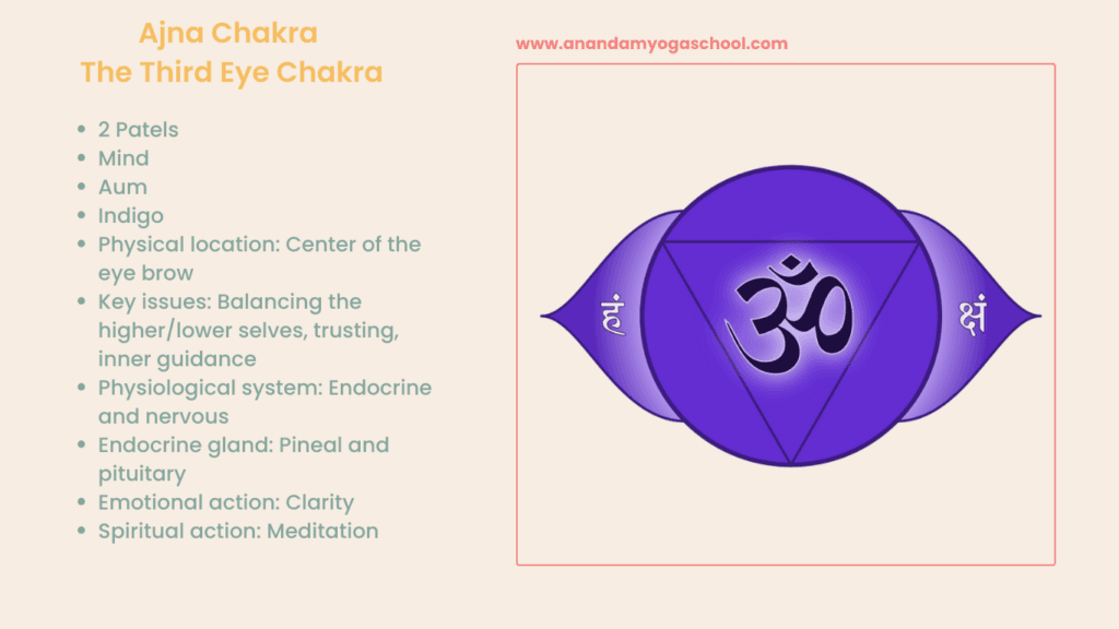 The 7 Chakras: A Complete Guide to Your Body's Energy Centers