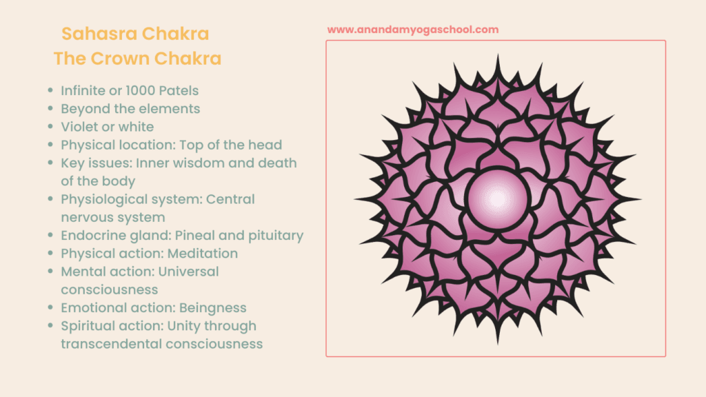 The 7 Chakras: A Complete Guide to Your Body's Energy Centers