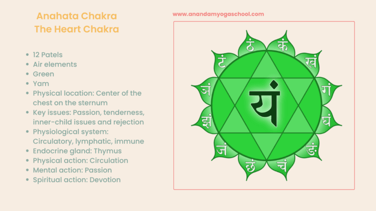 The 7 Chakras: A Complete Guide to Your Body's Energy Centers