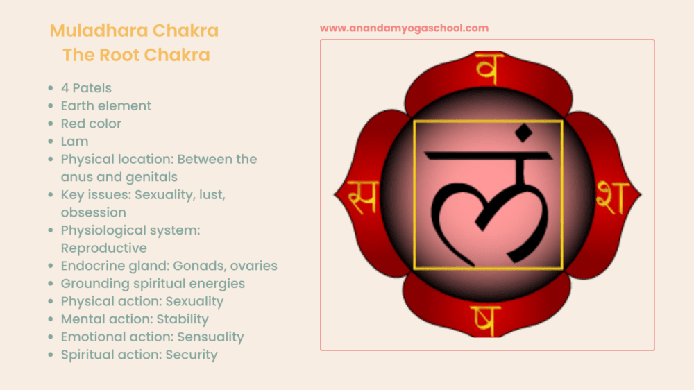 The 7 Chakras: A Complete Guide to Your Body's Energy Centers