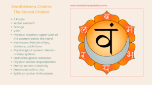 The 7 Chakras: A Complete Guide to Your Body's Energy Centers