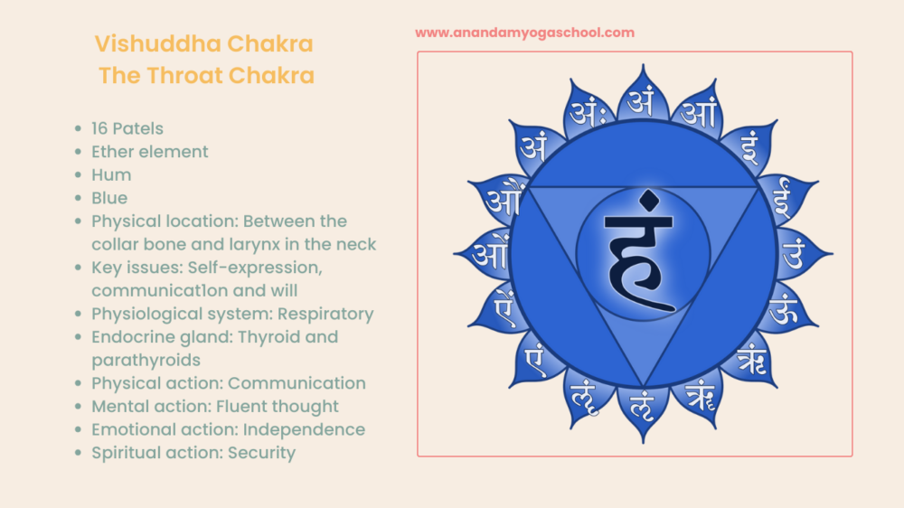 Exploring the Seven Chakras: Your Energy Centers Explained