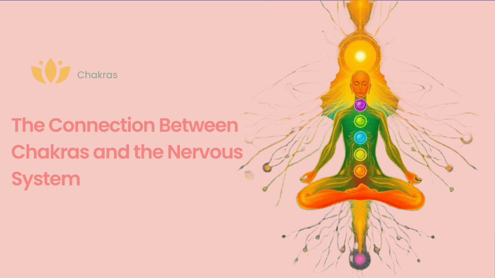 The Connection Between Chakras and the Nervous System